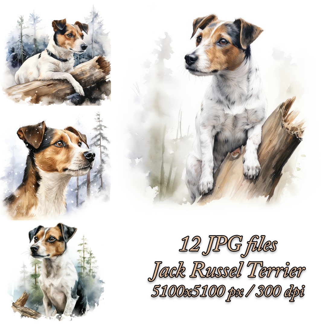 Jack Russel Terrier Clipart Bundle | Dog Sublimation Design | Jack ...