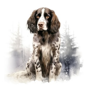 English Springer Spaniel Clipart Bundle | Dog Sublimation Design ...