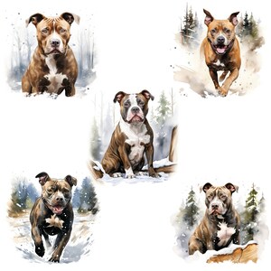 Pitbull Terrier Clipart Bundle | Dog Sublimation Design | Pitbull ...