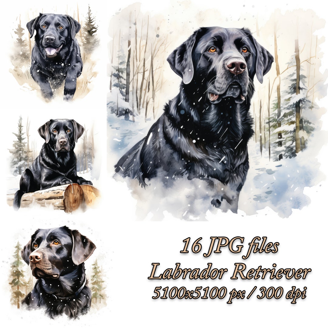 Labrador Retriever Clipart Bundle | Dog Sublimation Design | Labrador ...