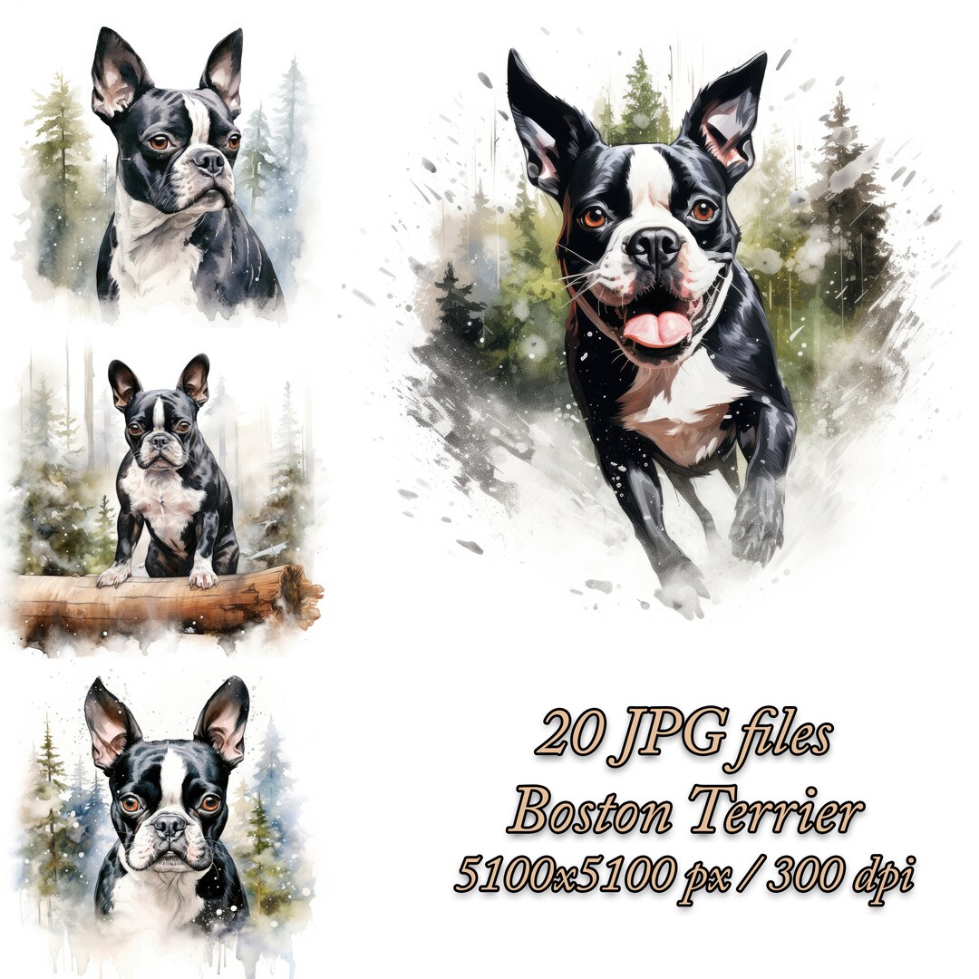 Boston Terrier Clipart Bundle | Dog Sublimation Design | Boston Terrier ...