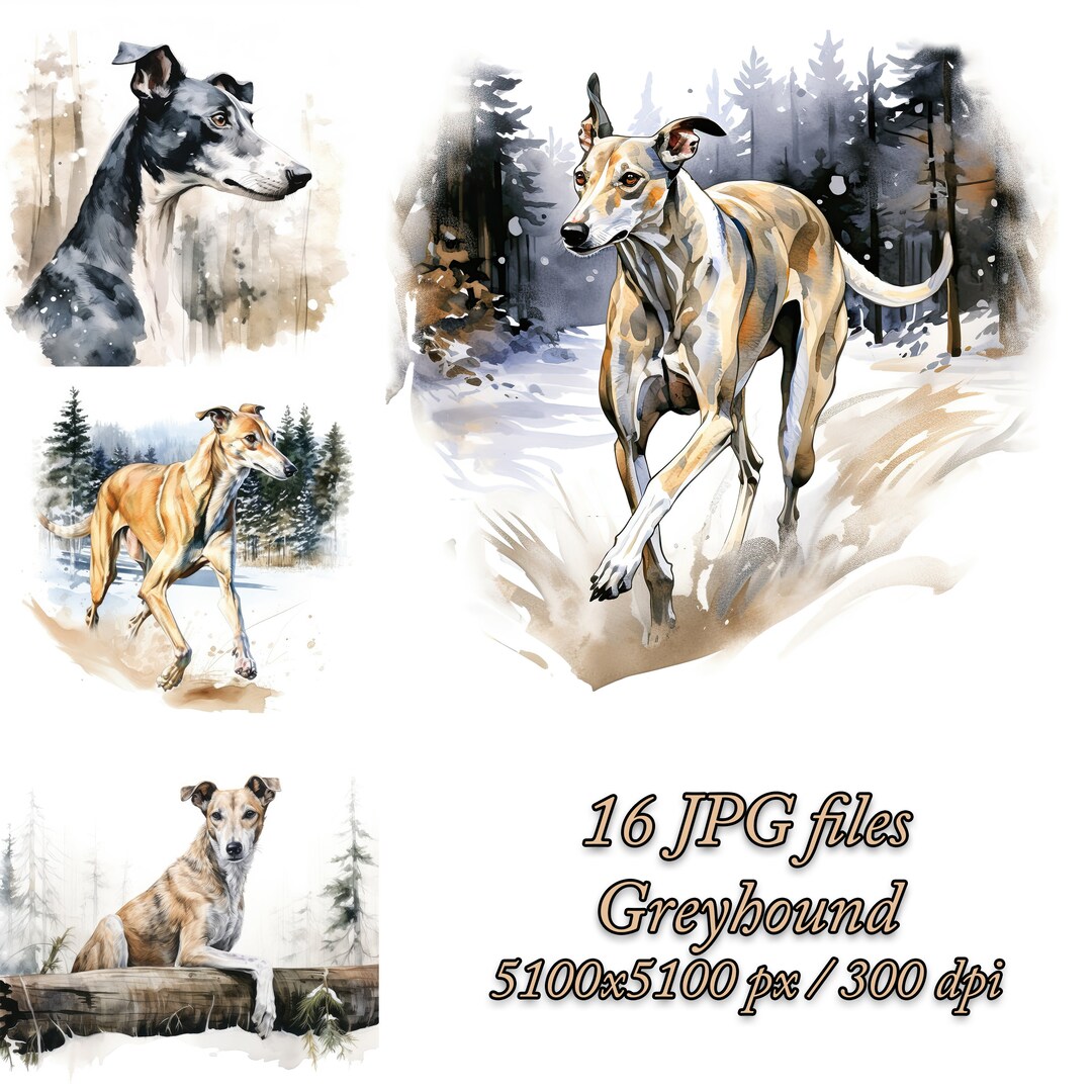 Greyhound Clipart Bundle | Dog Sublimation Design | Greyhound ...