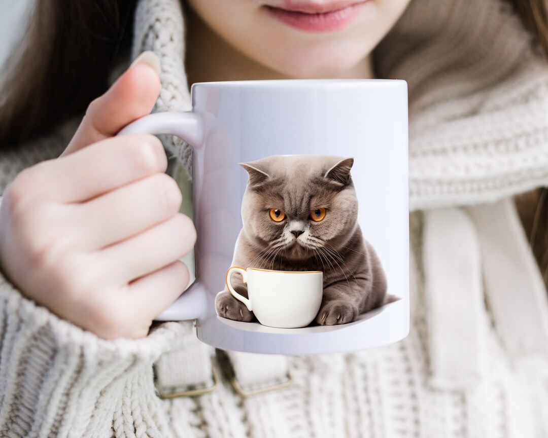 Angry British Shorthair Cat Mug: Feisty Feline Morning Coffee - Etsy