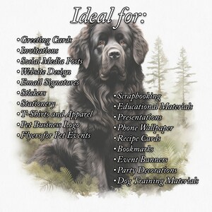 Newfoundland Clipart Pack, Dog Sublimation Pack, Newfoundland ...