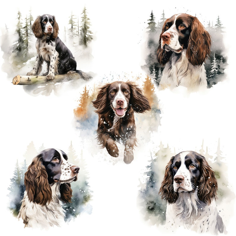 English Springer Spaniel Clipart Bundle Dog Sublimation Design Springer ...