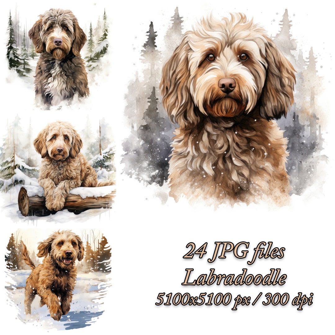 Labradoodle Winter Watercolor Clipart Bundle (JPG) - Etsy