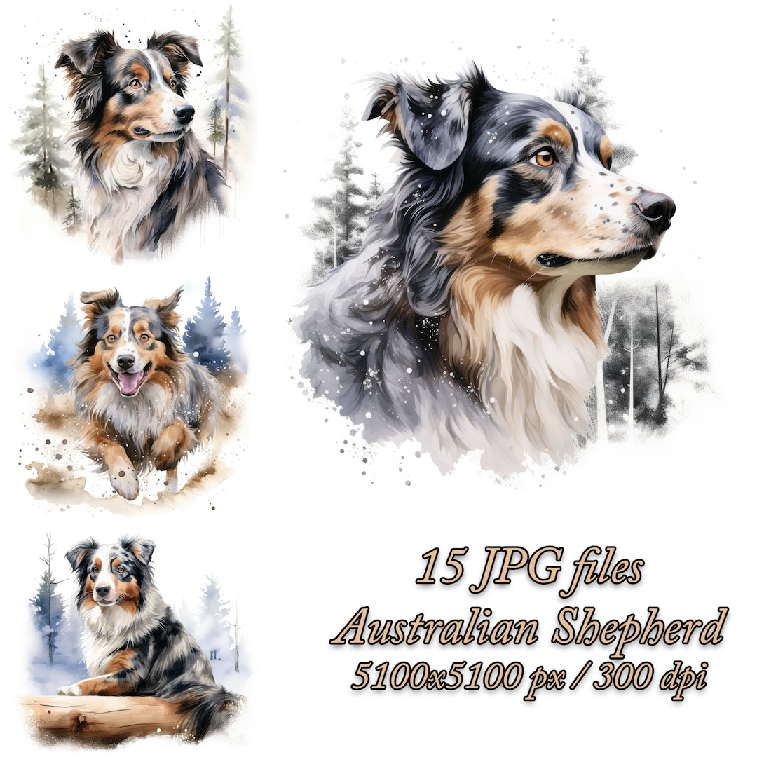 Australian Shepherd Clipart Bundle | Dog Sublimation Design | Australian Shepherd Watercolor ...