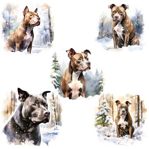 Pitbull Terrier Clipart Bundle | Dog Sublimation Design | Pitbull ...