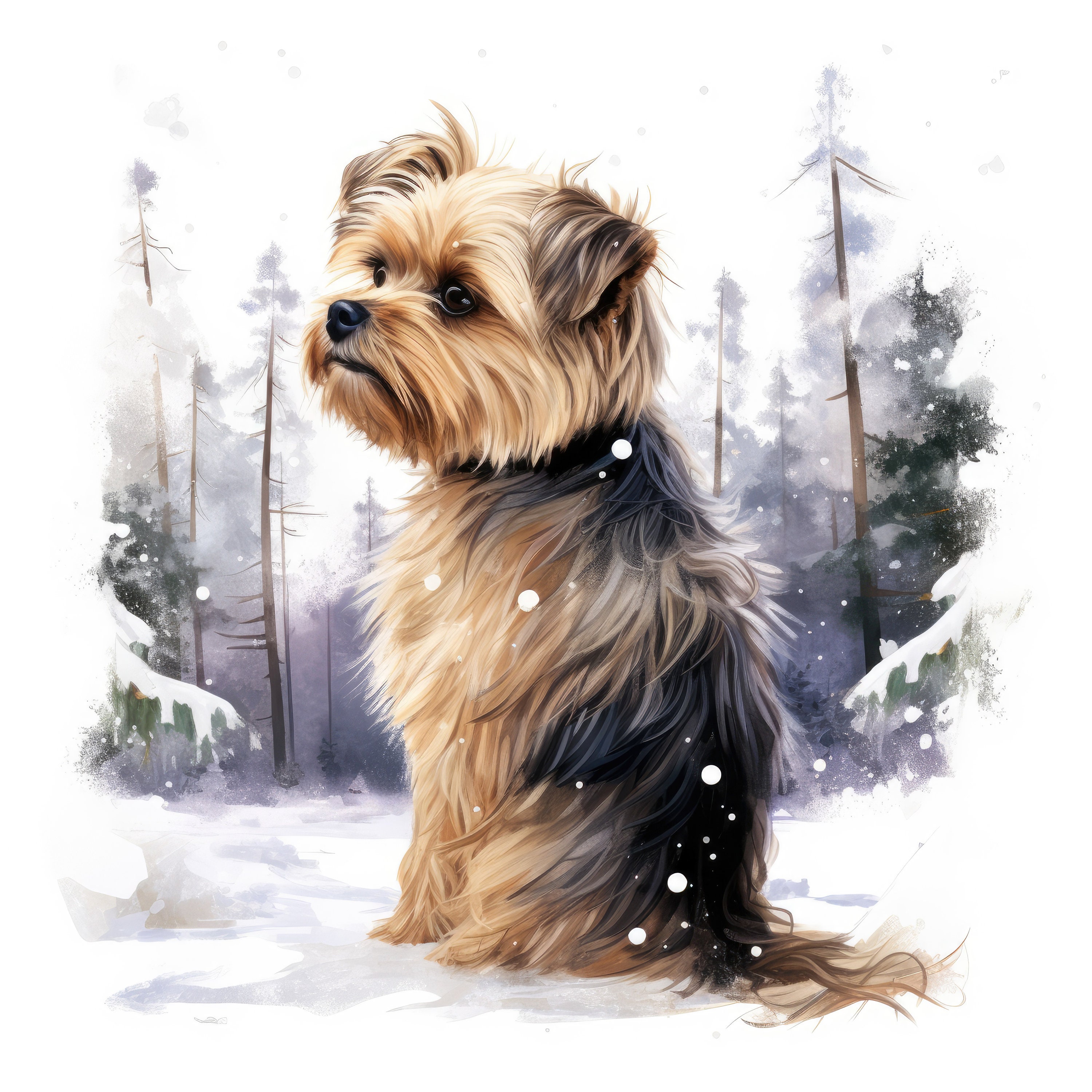 Shorkie Winter Watercolor Clipart Bundle (JPG Files) - Etsy