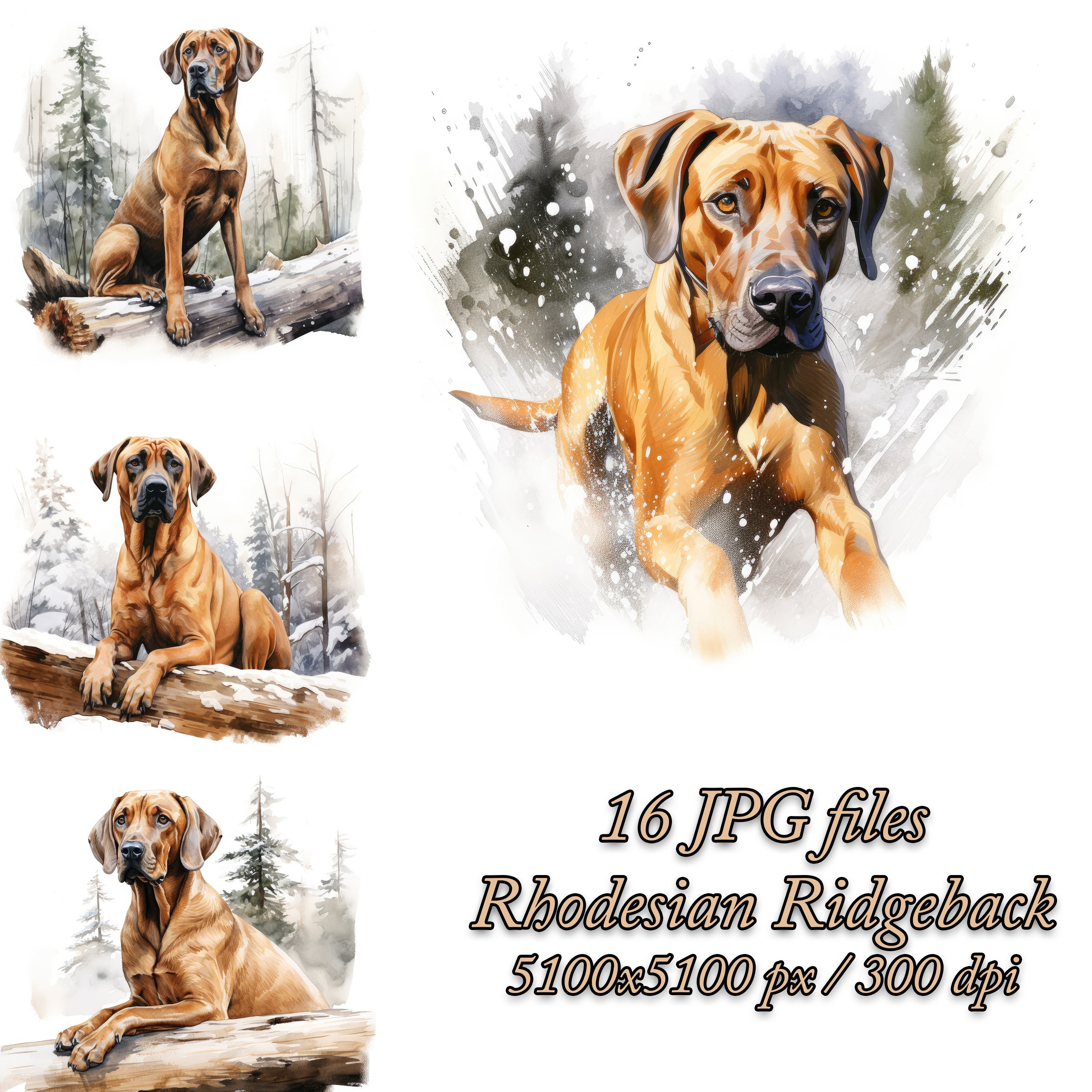 Rhodesian Ridgeback Clipart Bundle Dog Sublimation Design - Etsy