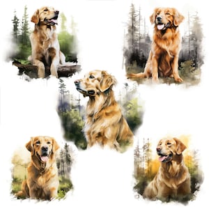 Golden Retriever Clipart Bundle Dog Sublimation Pack, Golden Retriever ...