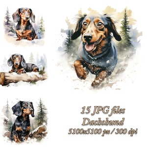 Dachshund Clipart Bundle | Dog Sublimation Design | Dachshund ...