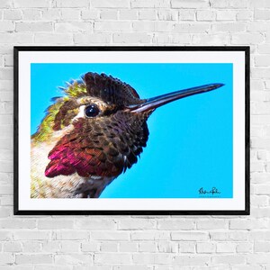 Fine Art Hummingbird (framed and Digital Download Options) - Etsy