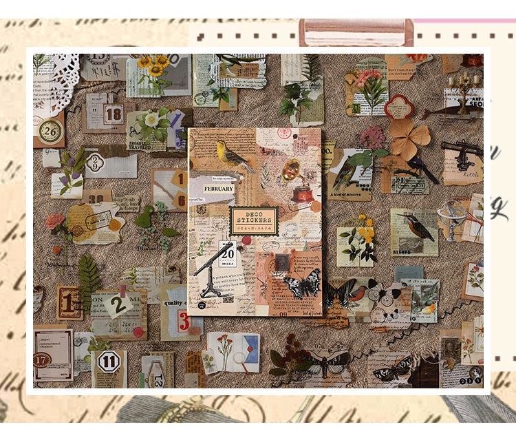 Vintage Style Series Sticker Book, Transparent Decoration Stickers, DIY ...