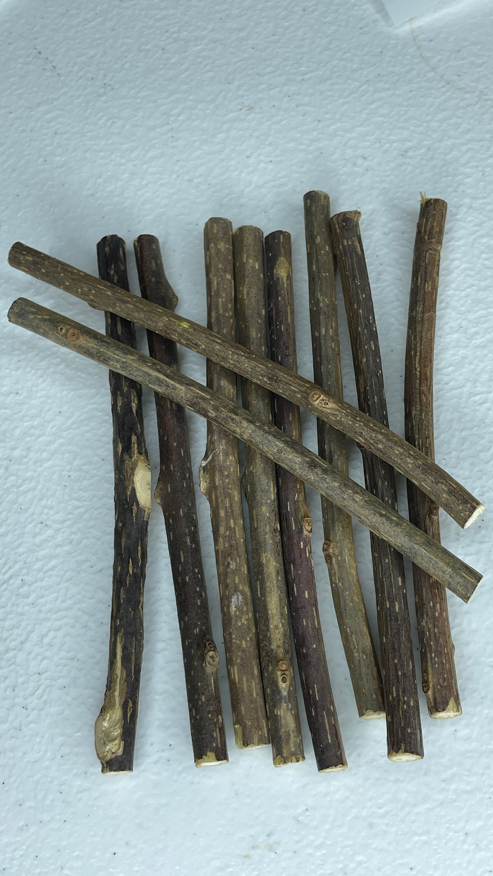 7 Mini Natural Chew Sticks for Cats Catnip Alternative - Etsy