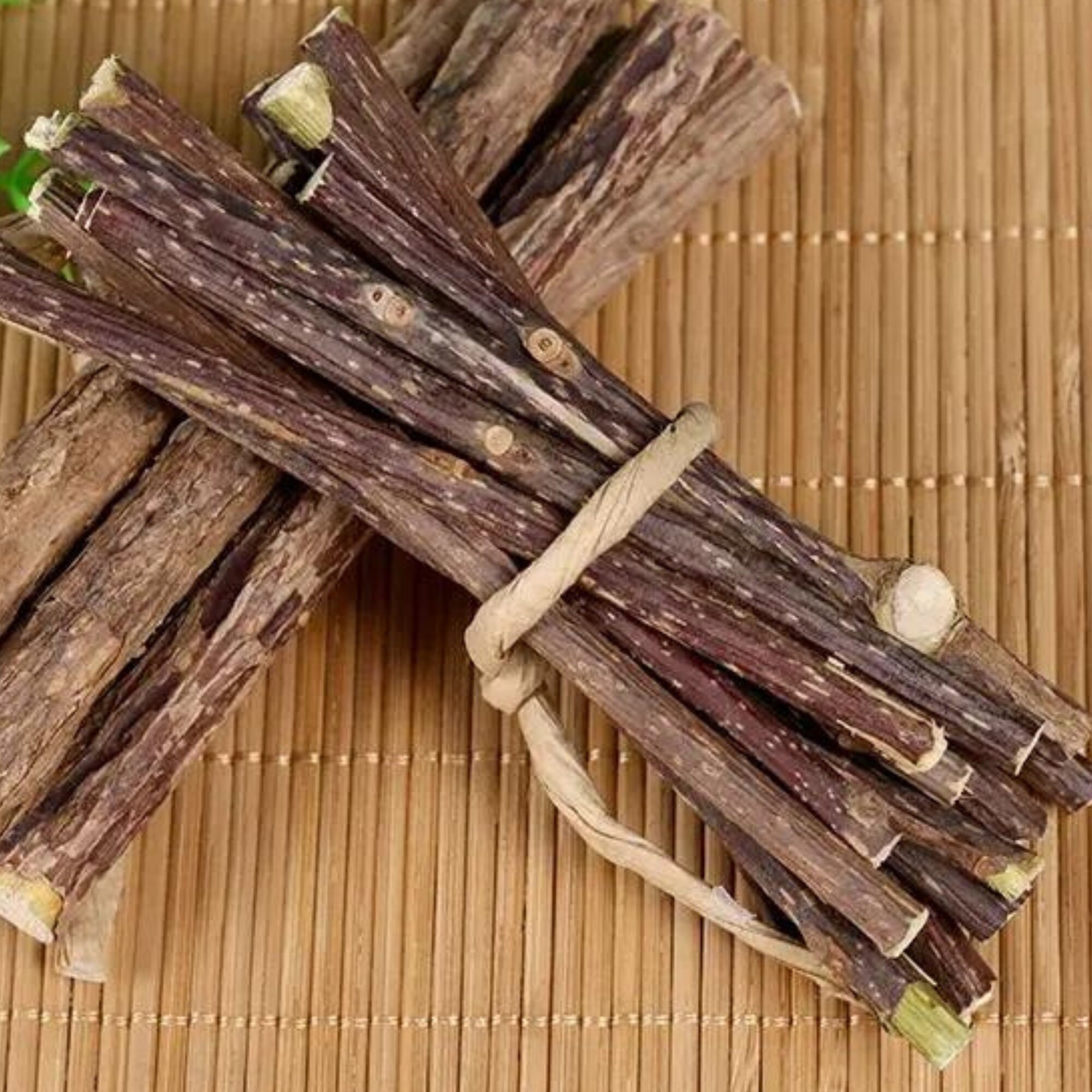 Natural Matatabi Sticks Catnip Alternative Silvervine Cat Treats Gift ...