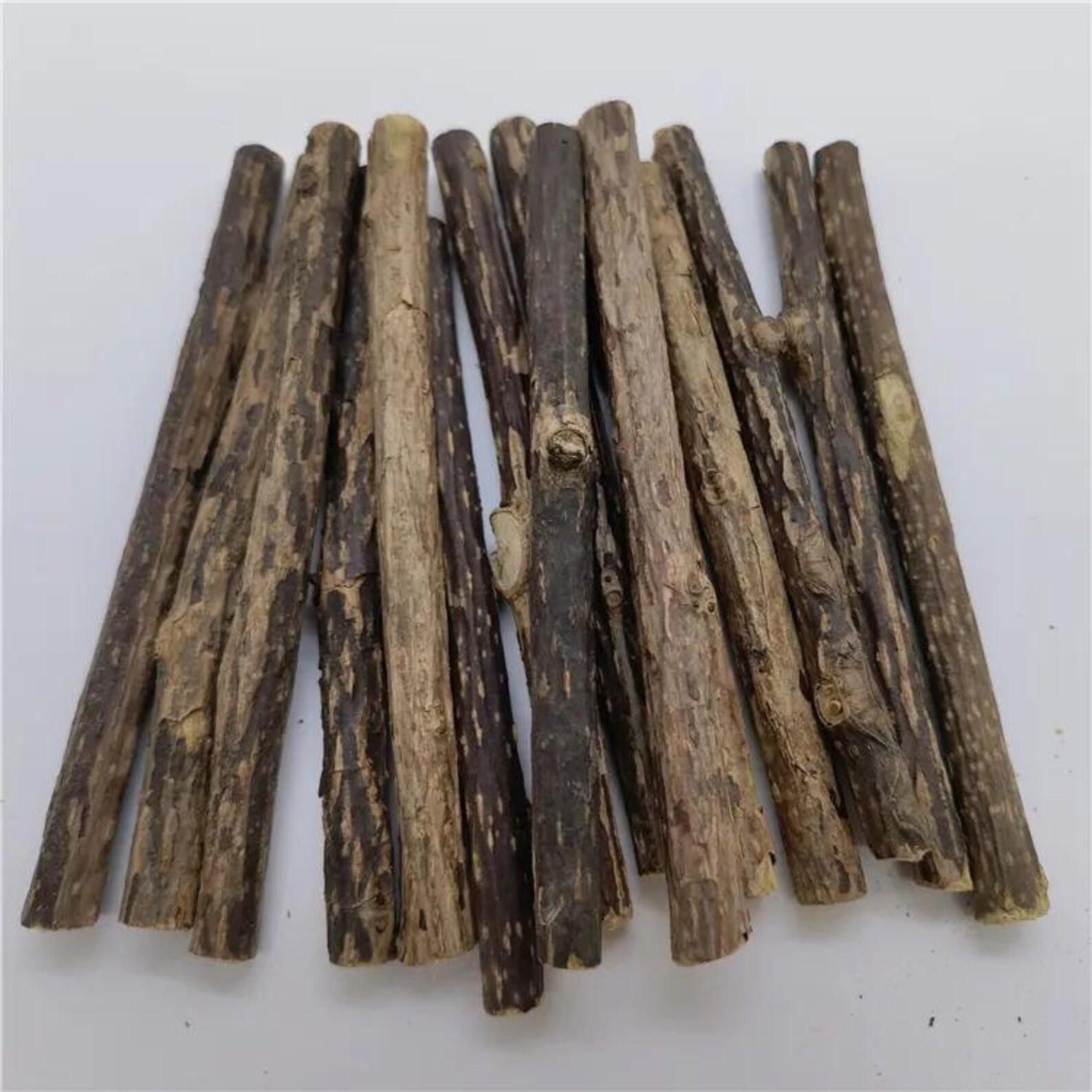 Natural Matatabi Sticks Catnip Alternative Silvervine Cat Treats Gift ...