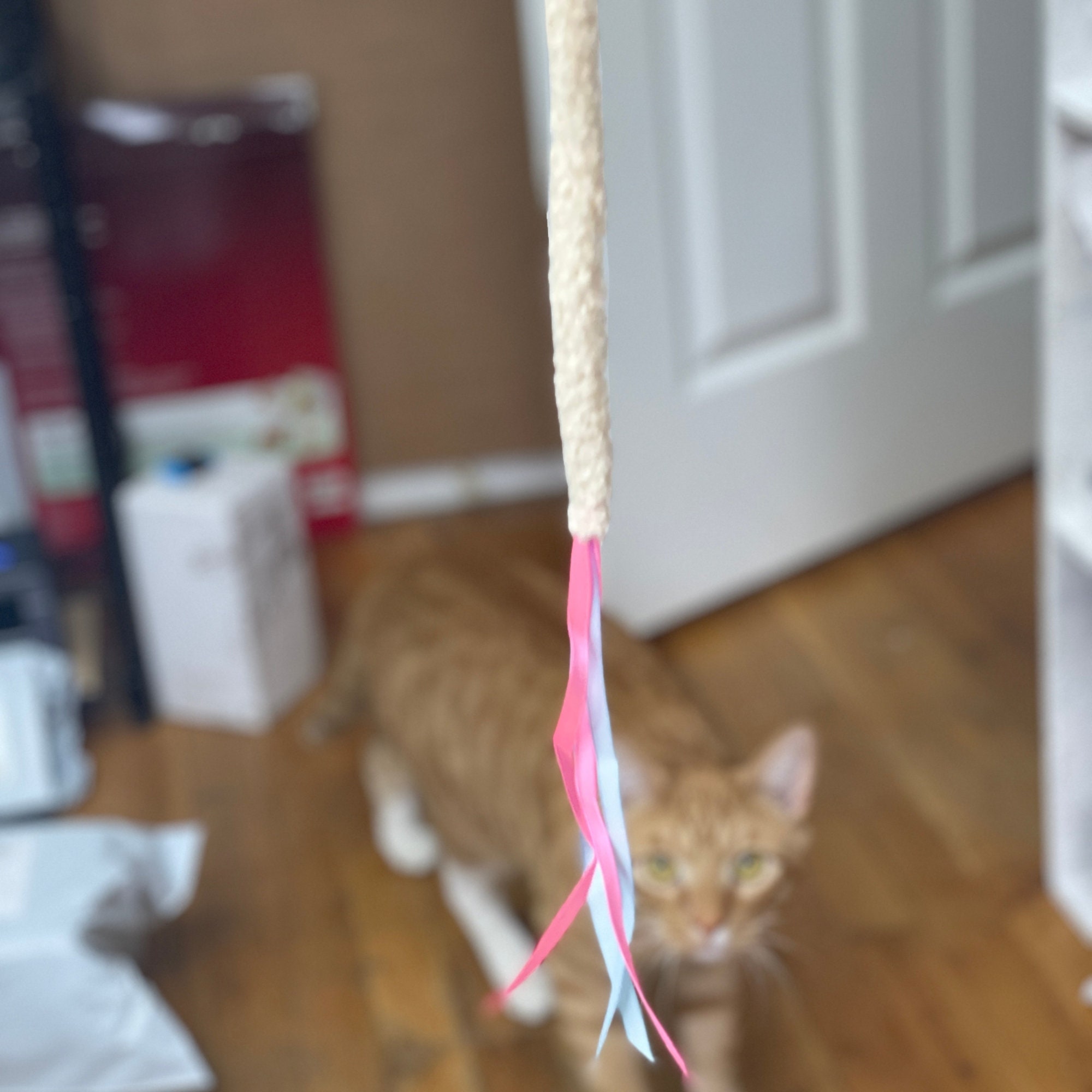 1pc Cat Teaser Tassel Stick for Playing Toys for Cats Teaser Toys ...