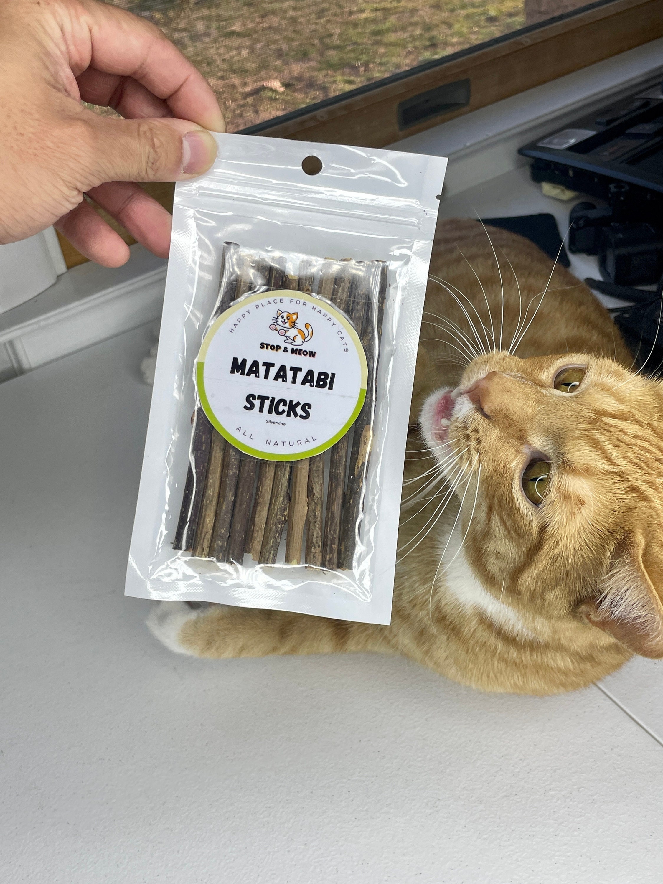 Natural Matatabi Sticks Catnip Alternative Silvervine Cat Treats Gift ...