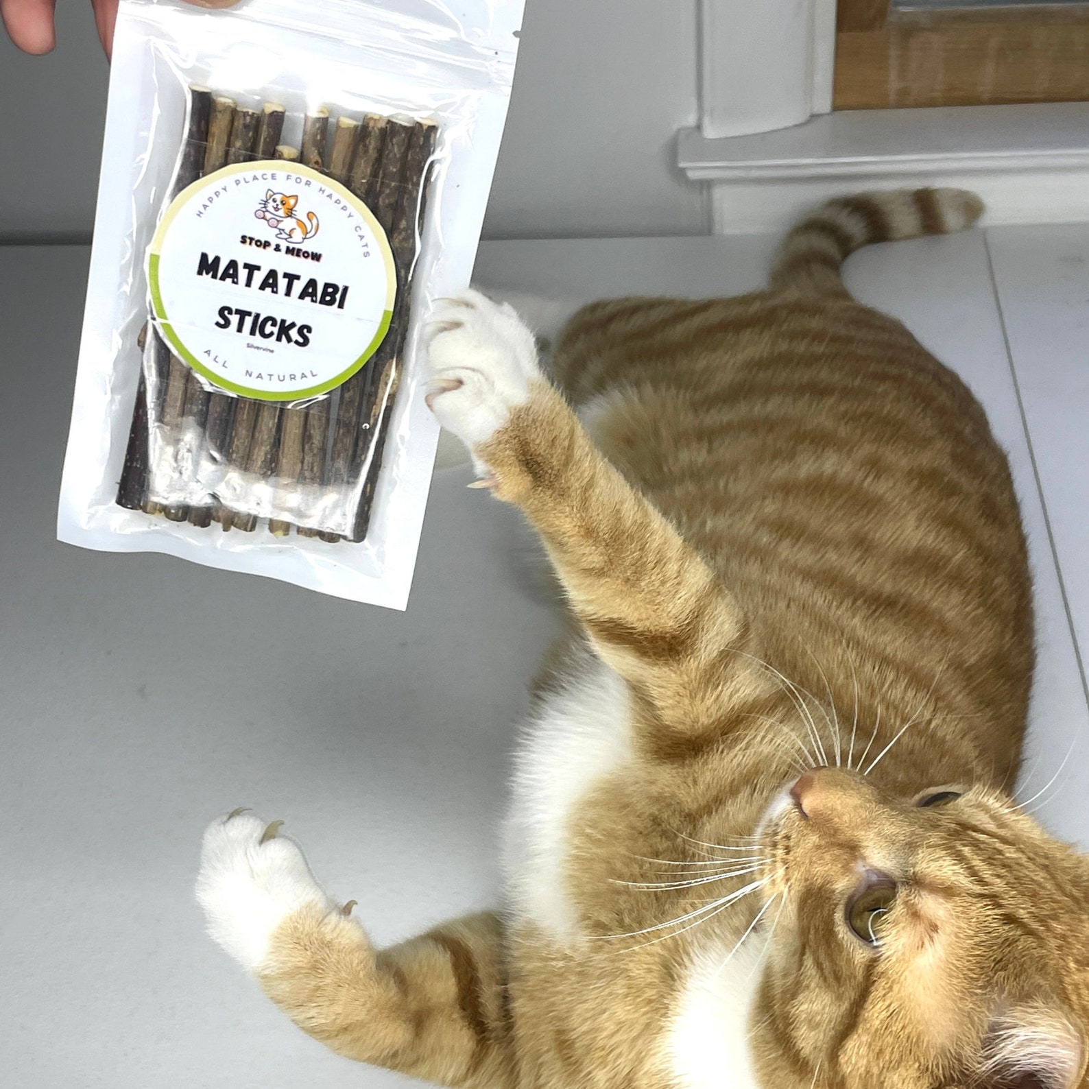 Natural Matatabi Sticks Catnip Alternative Silvervine Cat Treats Gift ...