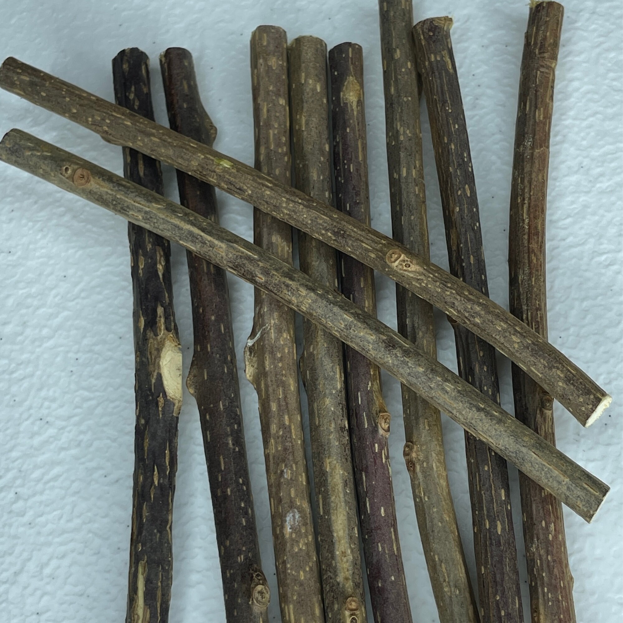 7 Mini Natural Chew Sticks for Cats Catnip Alternative - Etsy