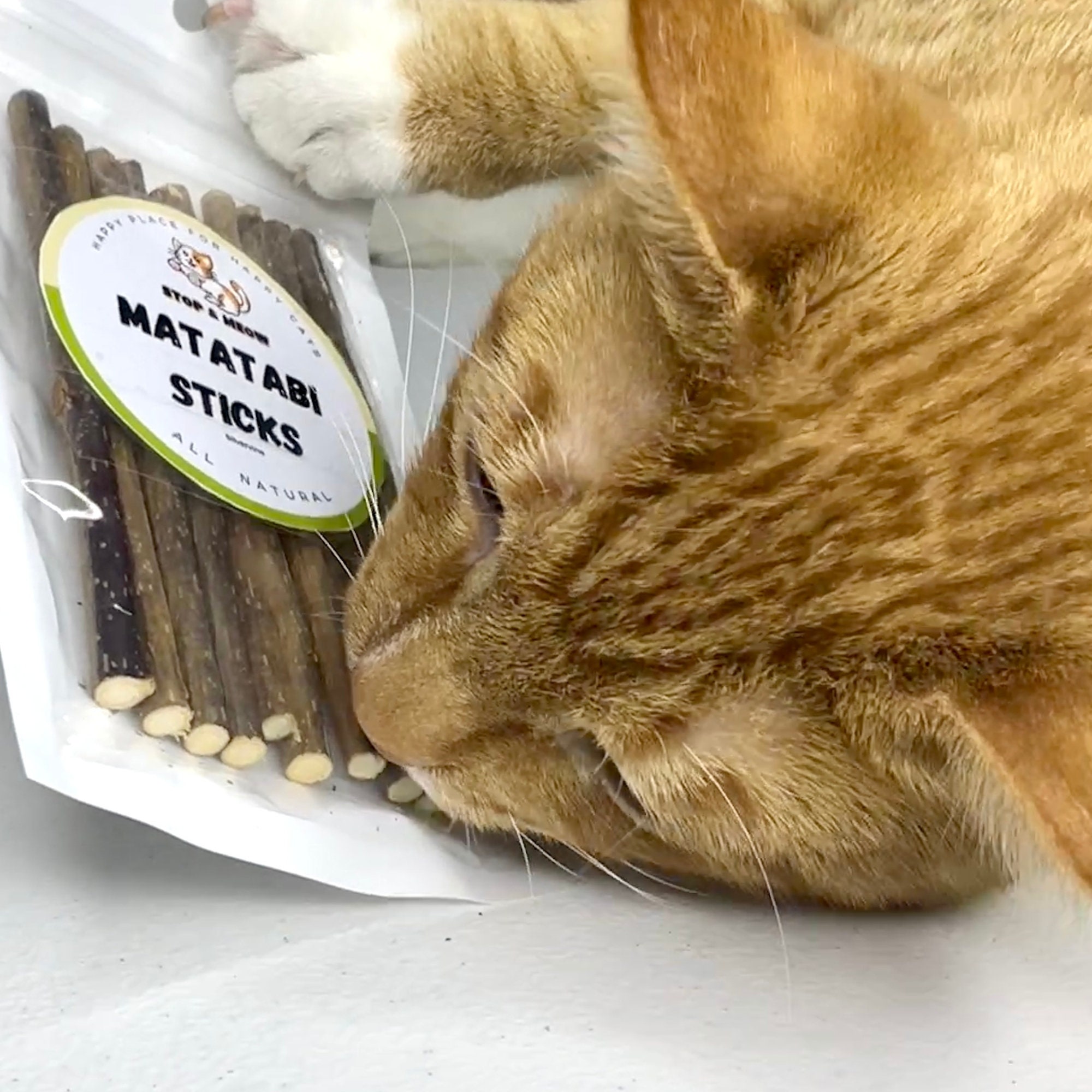 7 Mini Natural Chew Sticks for Cats Catnip Alternative - Etsy