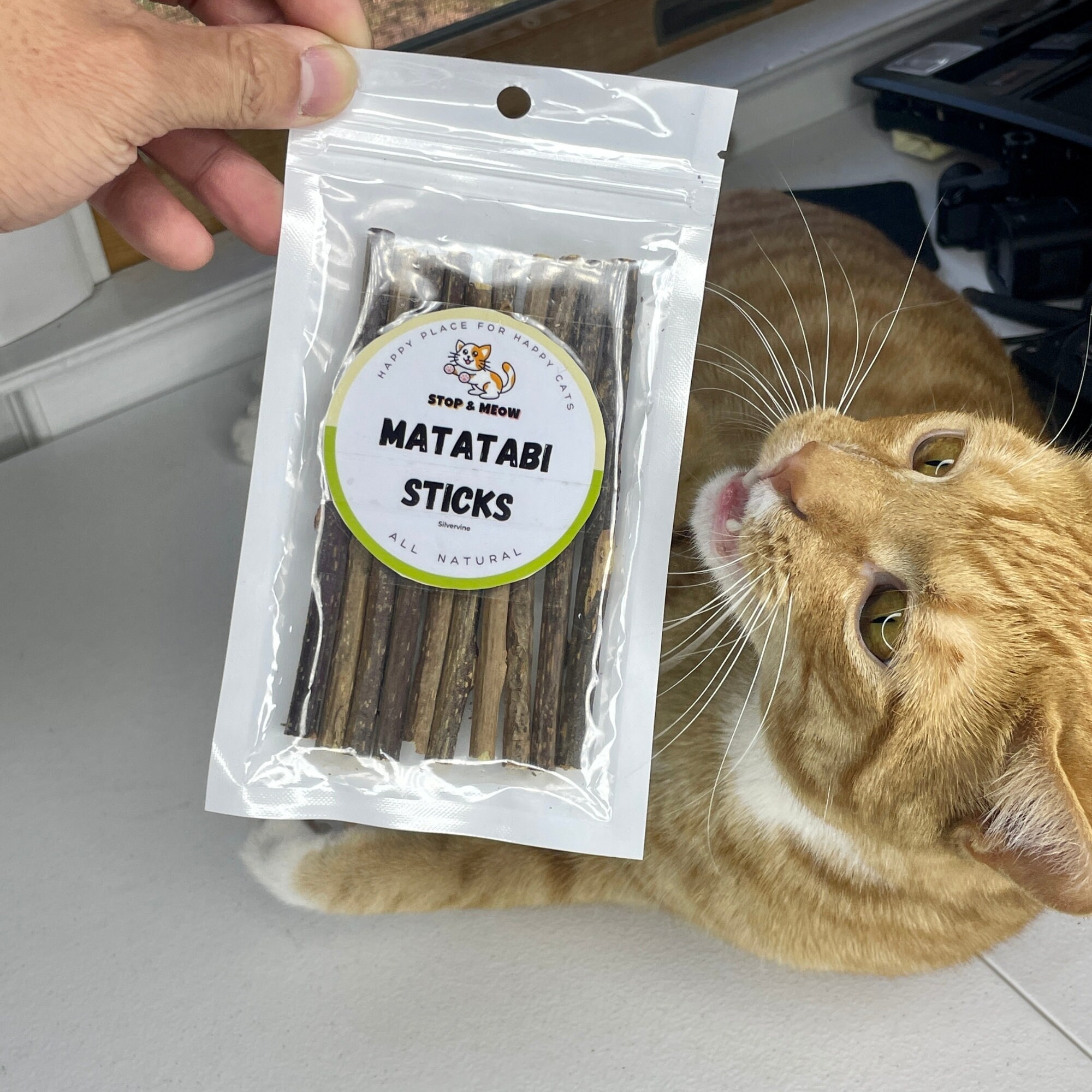 7 Mini Natural Chew Sticks for Cats Catnip Alternative - Etsy