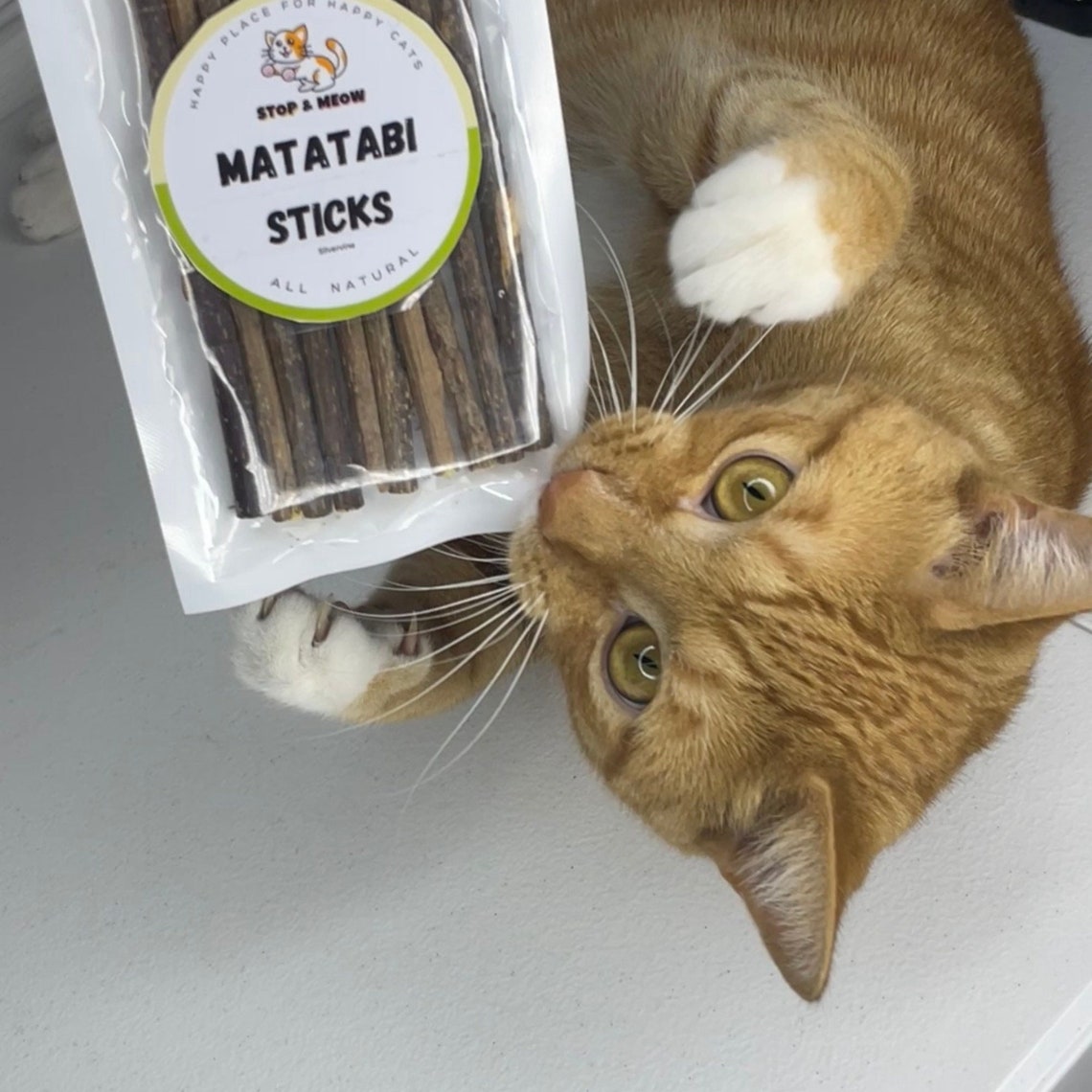 Natural Matatabi Sticks Catnip Alternative Silvervine Cat Treats Gift ...