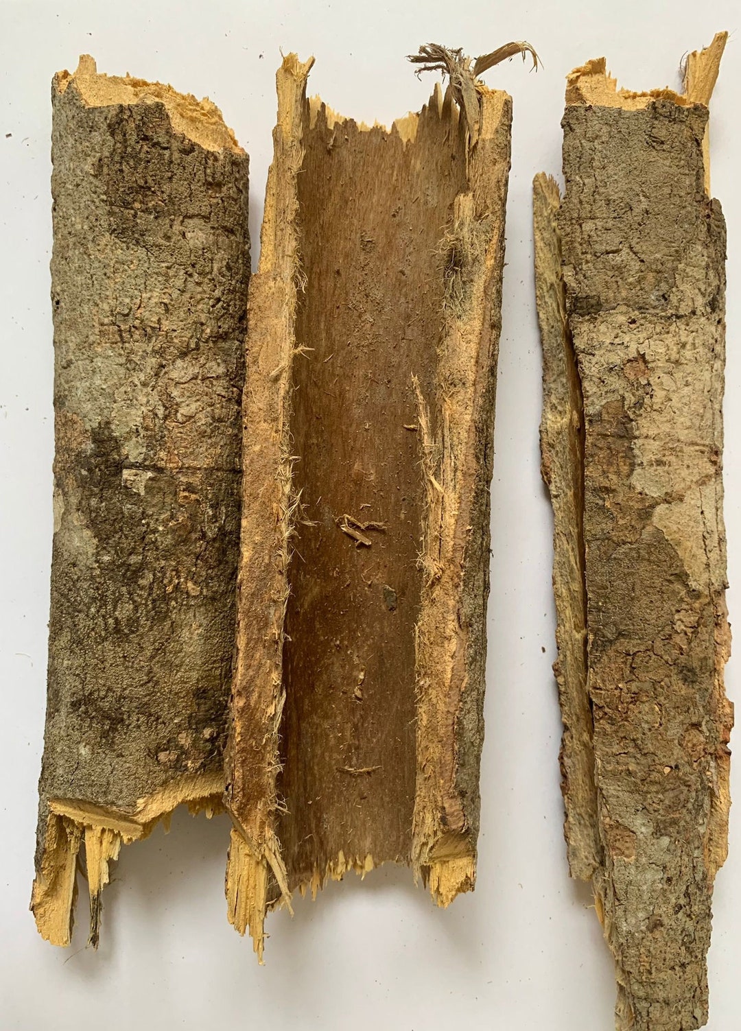 Hiomi Bark of the Garlic Tree Ecorce Arbre D' Ail 50g Fresh From ...