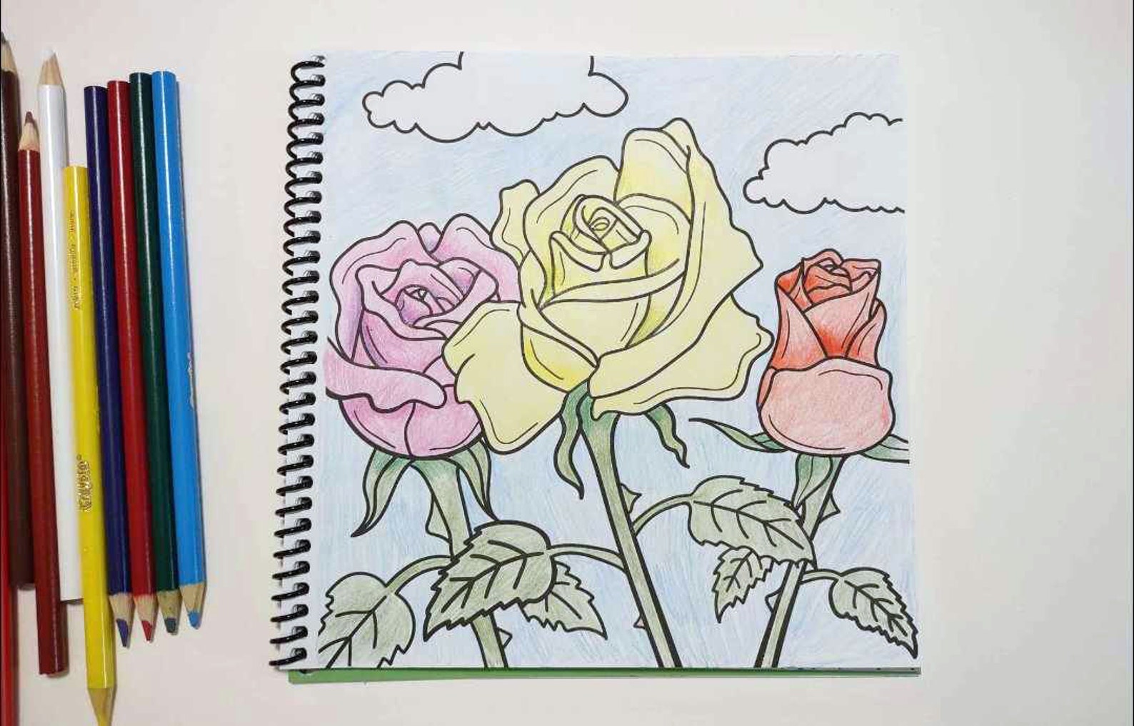 Into the Garden Coloring Book, Handmade Adult Coloring Book, Garde ...