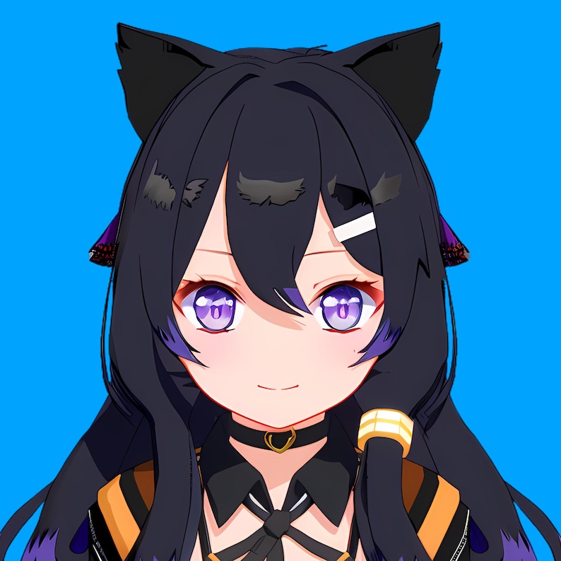 Convert 2D Vtuber to 3D Vroid Model, Custom Avatar - Etsy