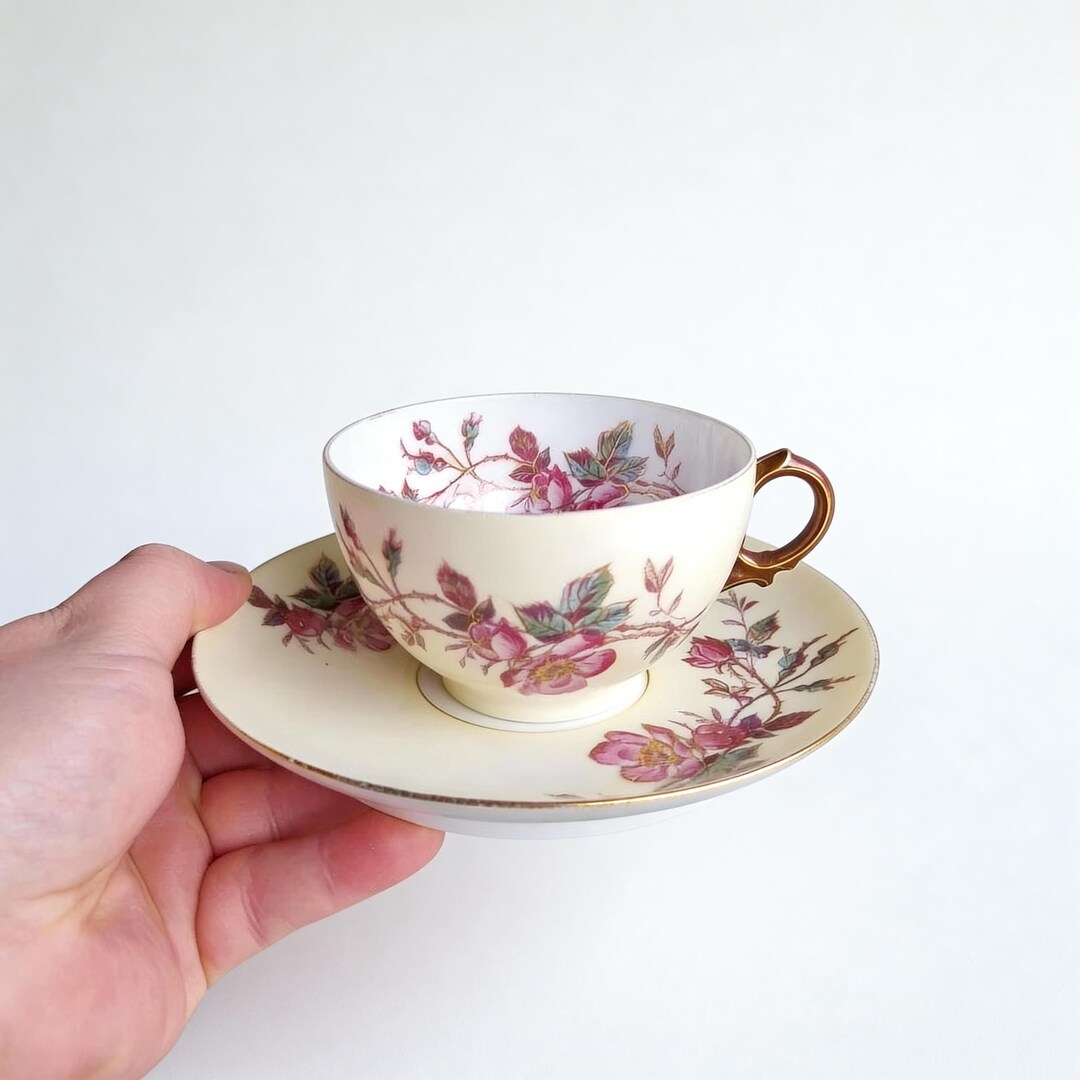 French Antique Tea Cup and Saucer, Hand-painted Floral Design With Gold ...