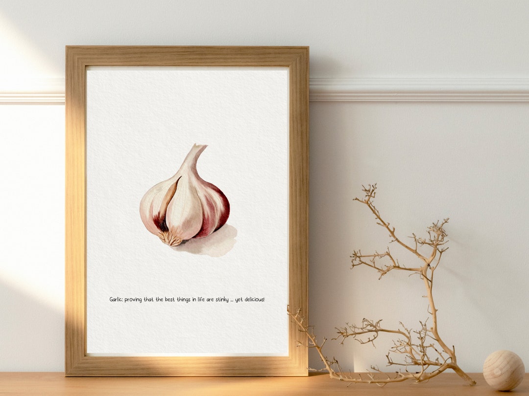 Minimal Garlic Watercolor Illustration: Kitchen Wall Art Painting for ...