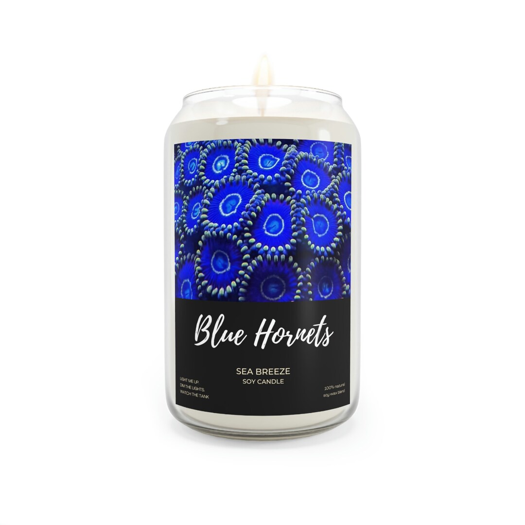 BLUE HORNETS Reef Watching Candle Scented Soy Candle Gift for Fish ...