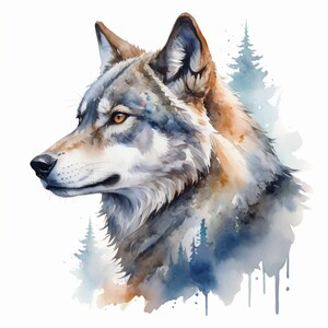 Wolf Clip Art, Printable Watercolor Clipart, Watercolor Wolf Clipart ...