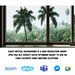 Tropical Rain | Zoom Virtual Backgrounds | Backdrop | Office Background ...