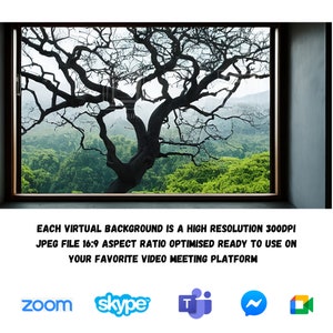 Twisted Tree | Zoom Virtual Backgrounds | Backdrop | Office Background ...