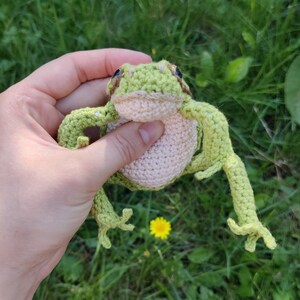 Realistic Crochet Tree Frog Pattern (digital Download) - Etsy