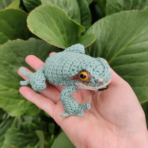 Crochet Tree Frog Pattern, Realistic Frog Crochet Pattern - Etsy