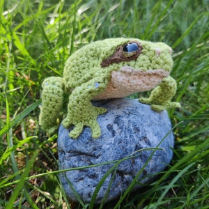 Realistic Crochet Tree Frog Pattern (digital Download) - Etsy