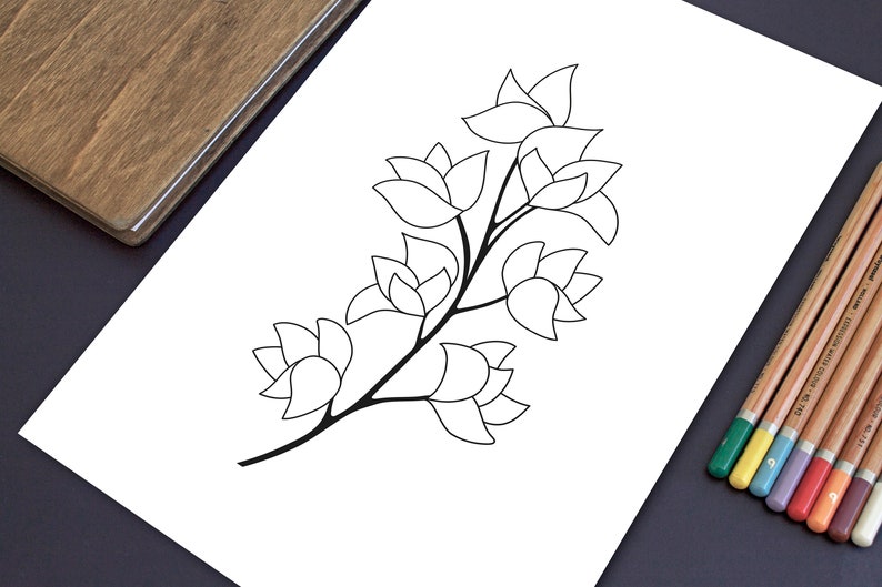 Foliage Drawing - Nature to Color Coloring Printable Drawing PDF to ...