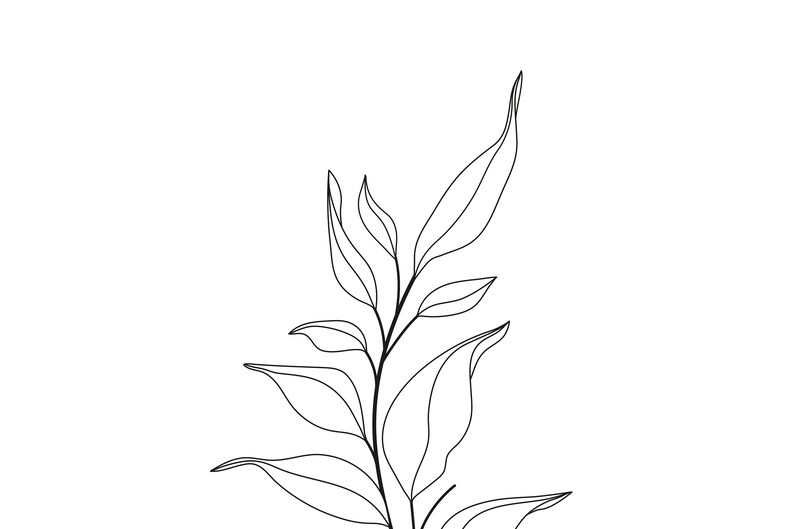 Foliage Drawing - Nature to Color Coloring Printable Drawing PDF to ...