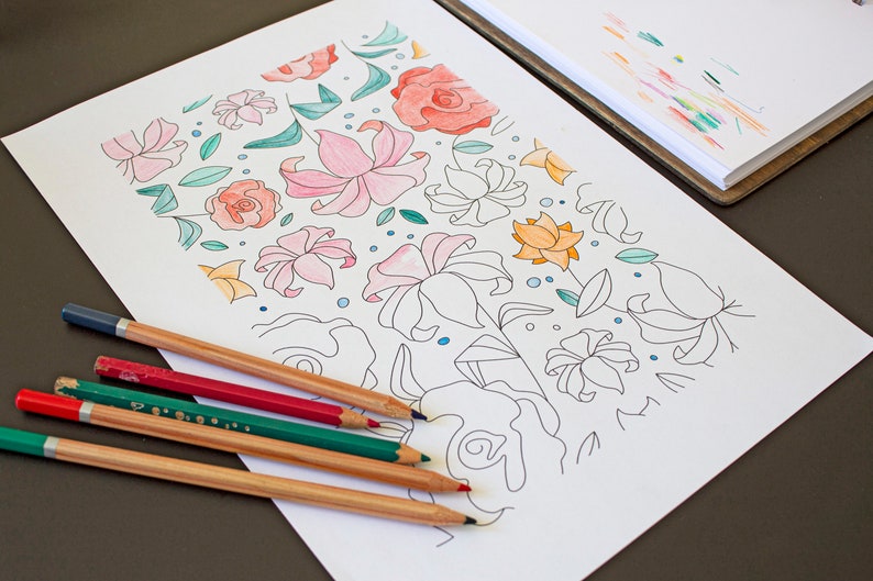 Drawing to Color Coloring Drawing Printable PDF to Download Adult and ...