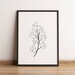 Foliage Drawing - Nature to Color Coloring Printable Drawing PDF to ...