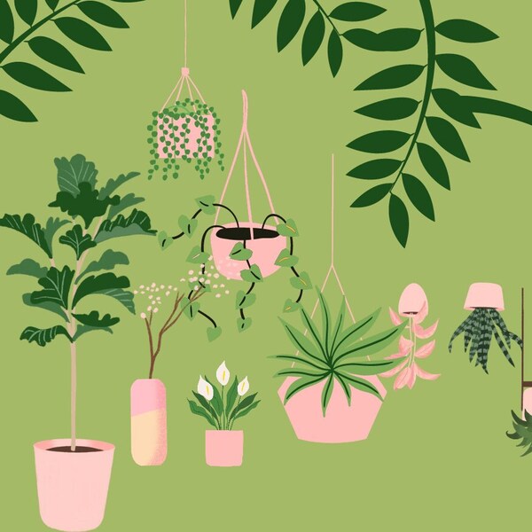 Houseplant Phone Wallpaper - Etsy