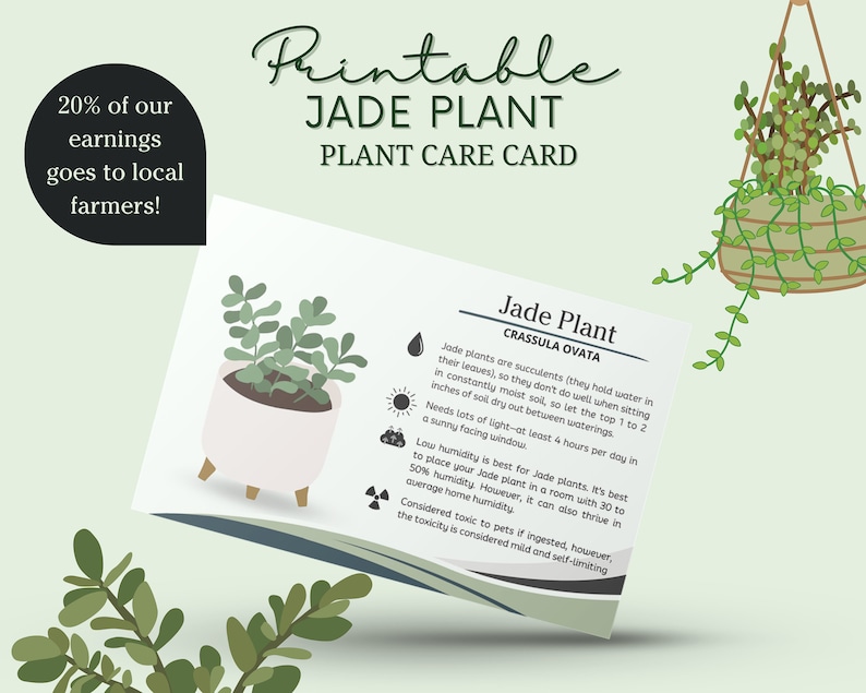 Jade Plant Care Card, How to Care for Jade Plant, Jade Plant Water ...