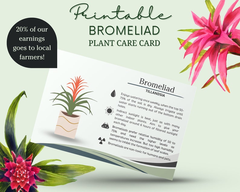 Bromeliad Care Card, How to Care for Bromeliad, How Often to Water ...