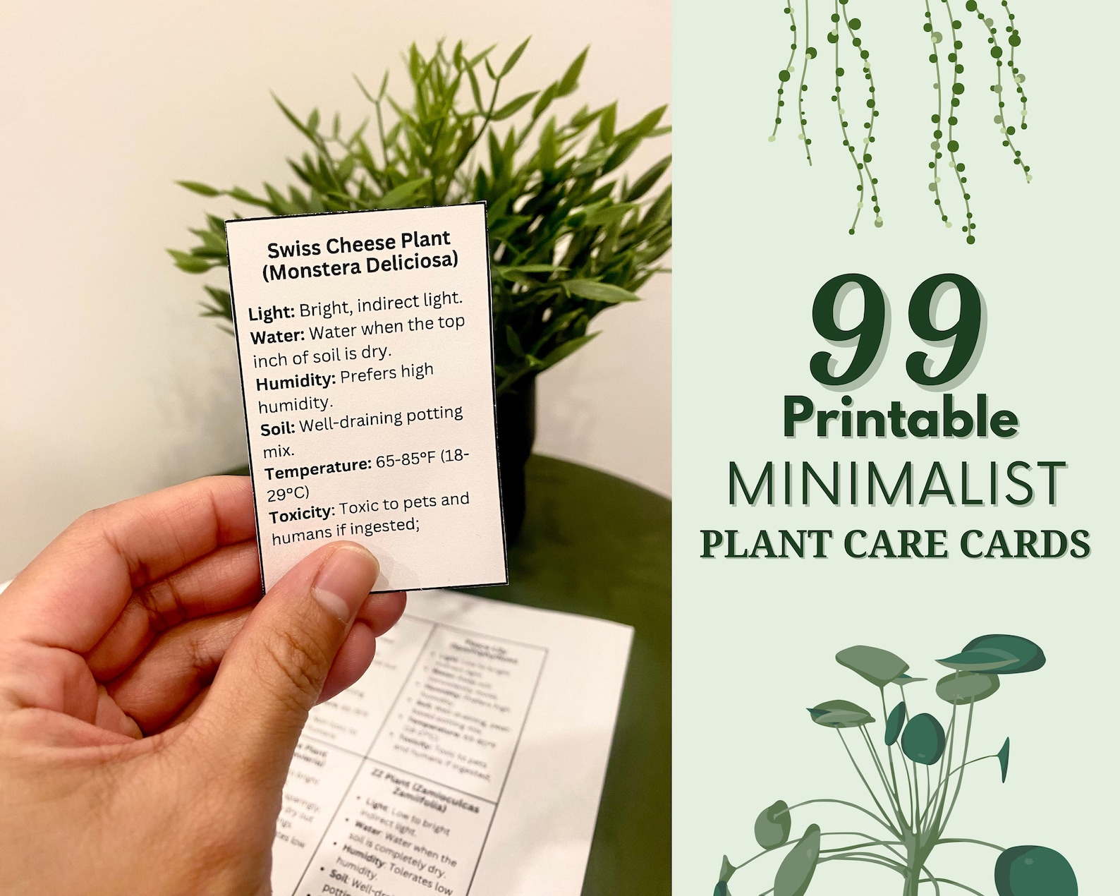 99 Printable Plant Care Cards, Plant Labels and Plant Tags, Minimalist ...