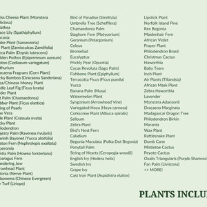 99 Printable Plant Care Cards, Plant Labels and Plant Tags, Minimalist ...