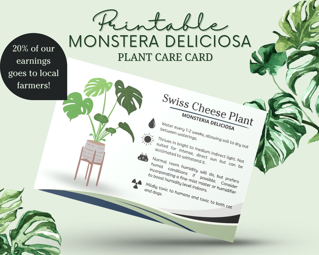 Monstera Plant Care Card, Swiss Cheese Plant Care Printable, Split Leaf ...